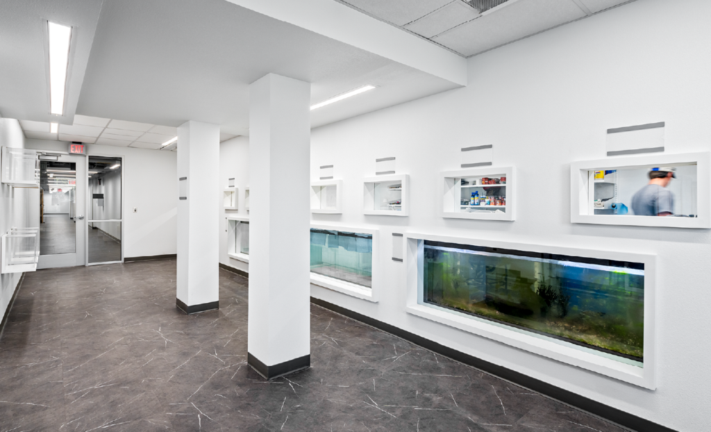 Dynamic Lab Design and Architecture | Dekker